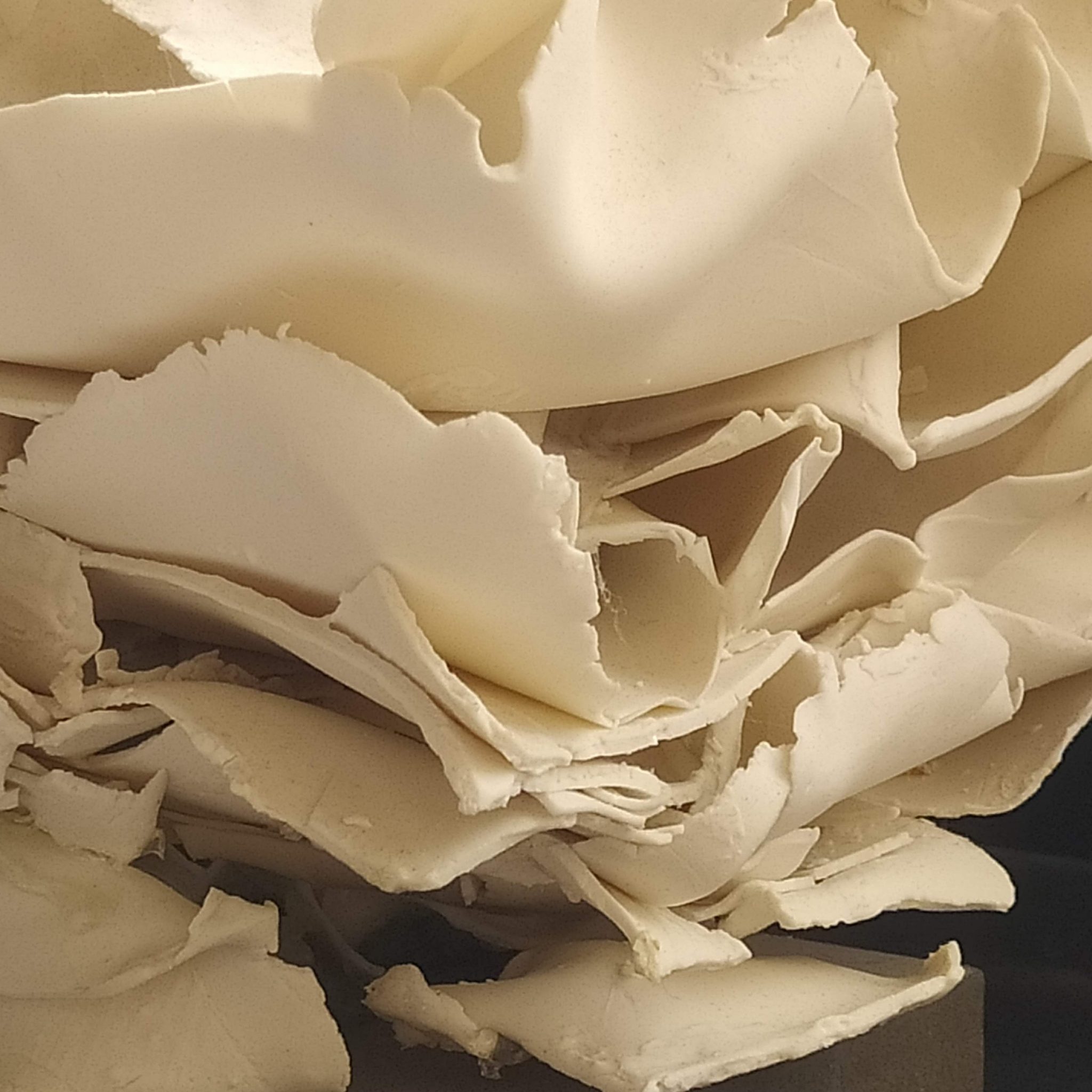 RAYDA GUZMÁN / PINTURA & ESCULTURA – pintura & escultura